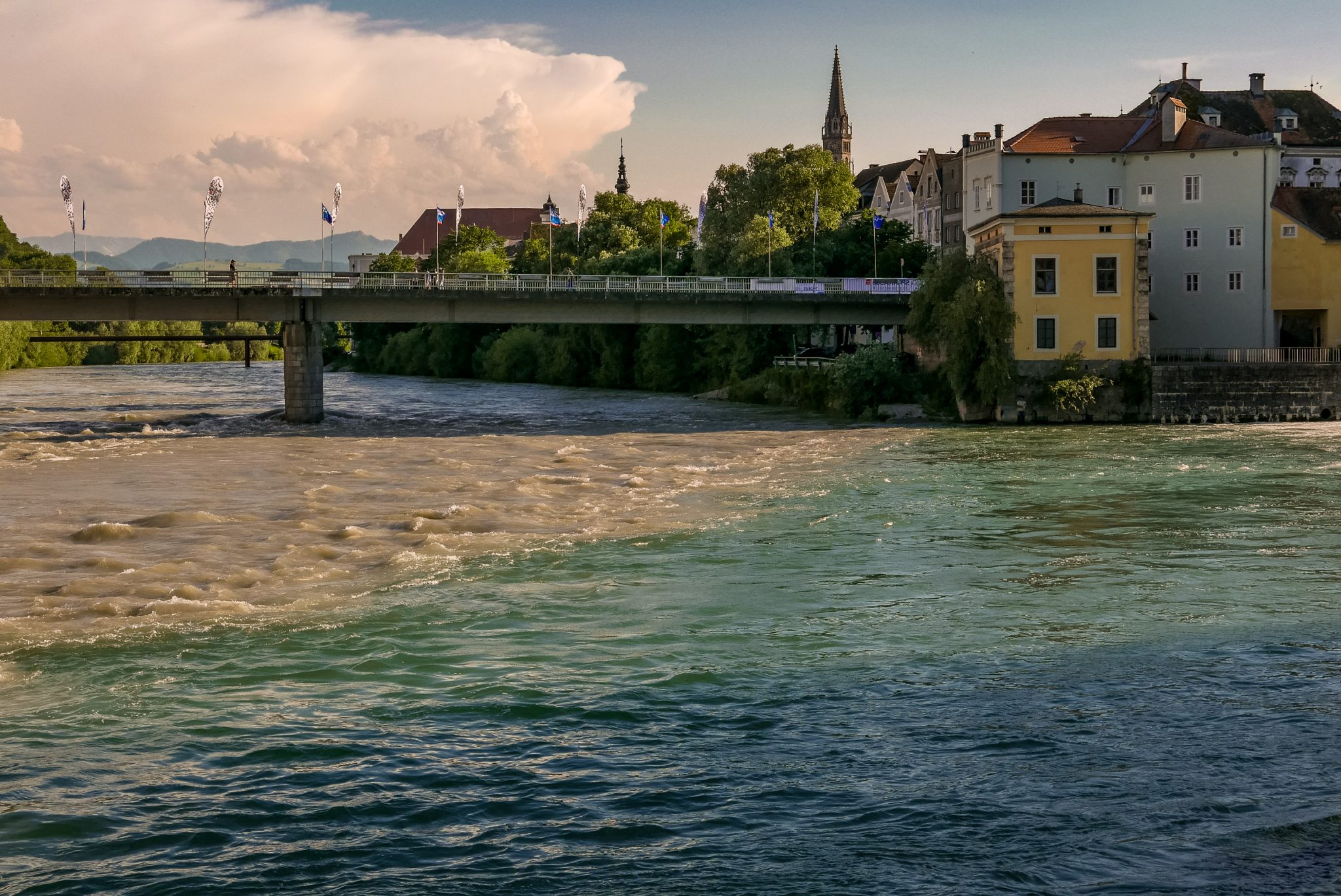 Enns - Flüsse voller Leben